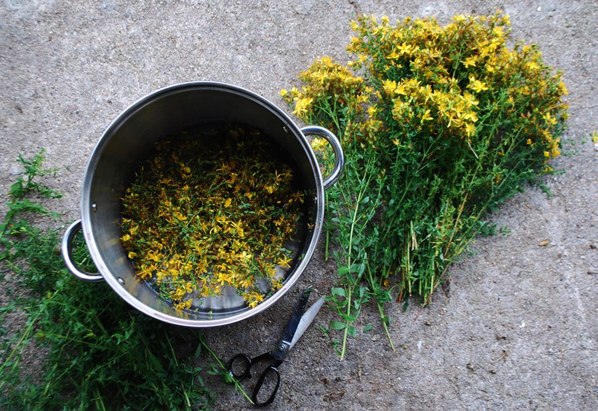 journal - Wool and Nature