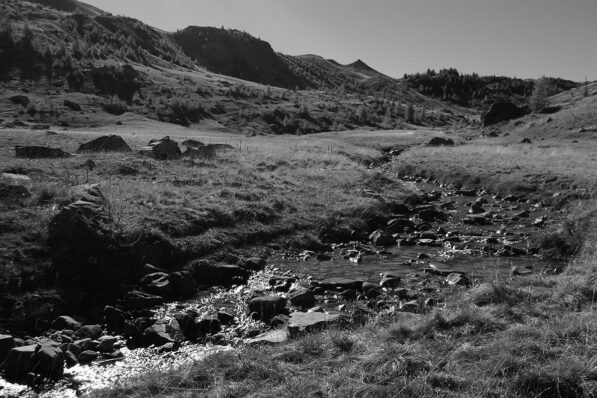 journal - Wool and Nature