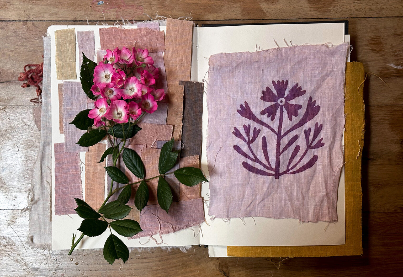 journal – Wool and Nature