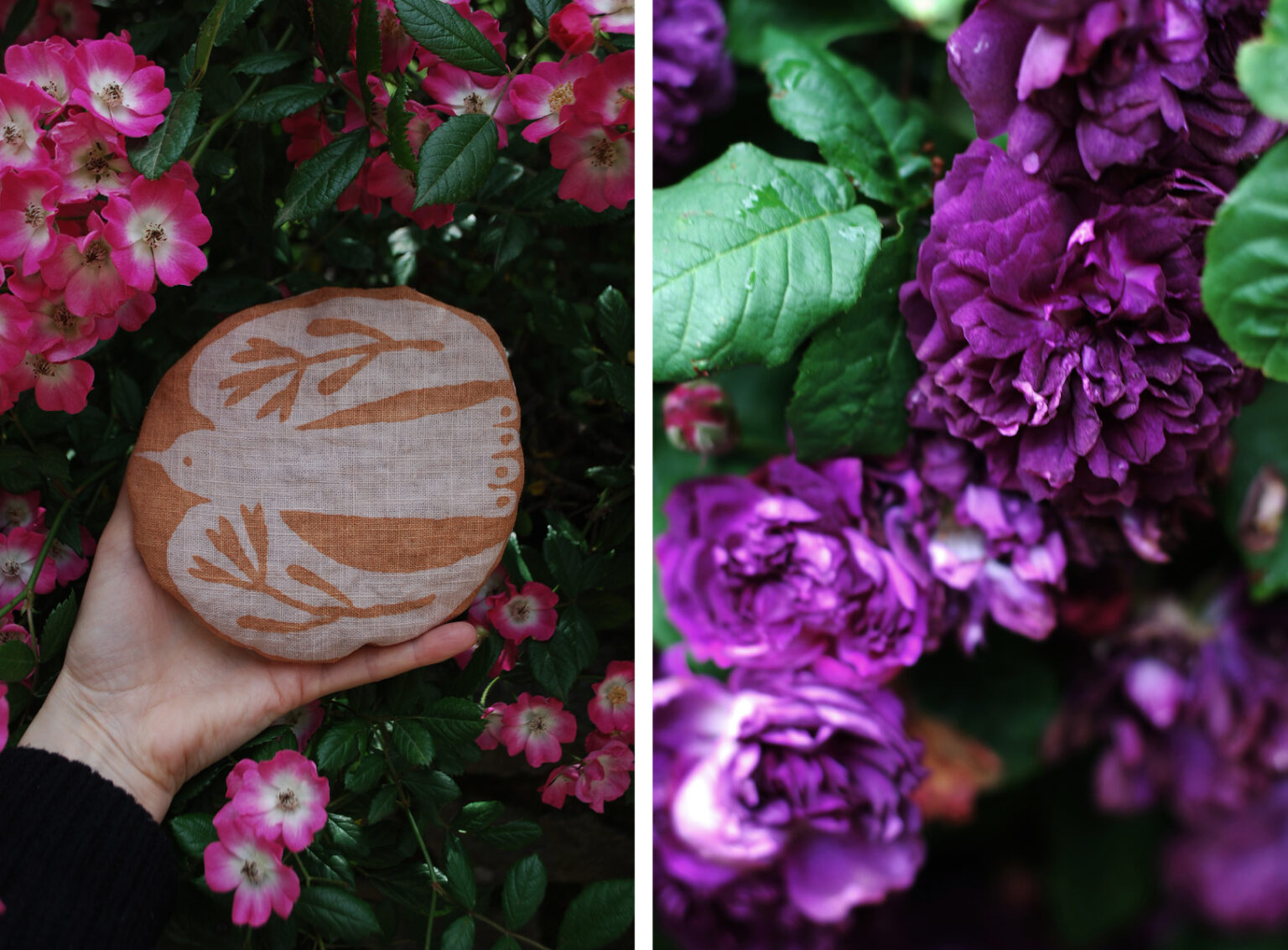 journal – Wool and Nature